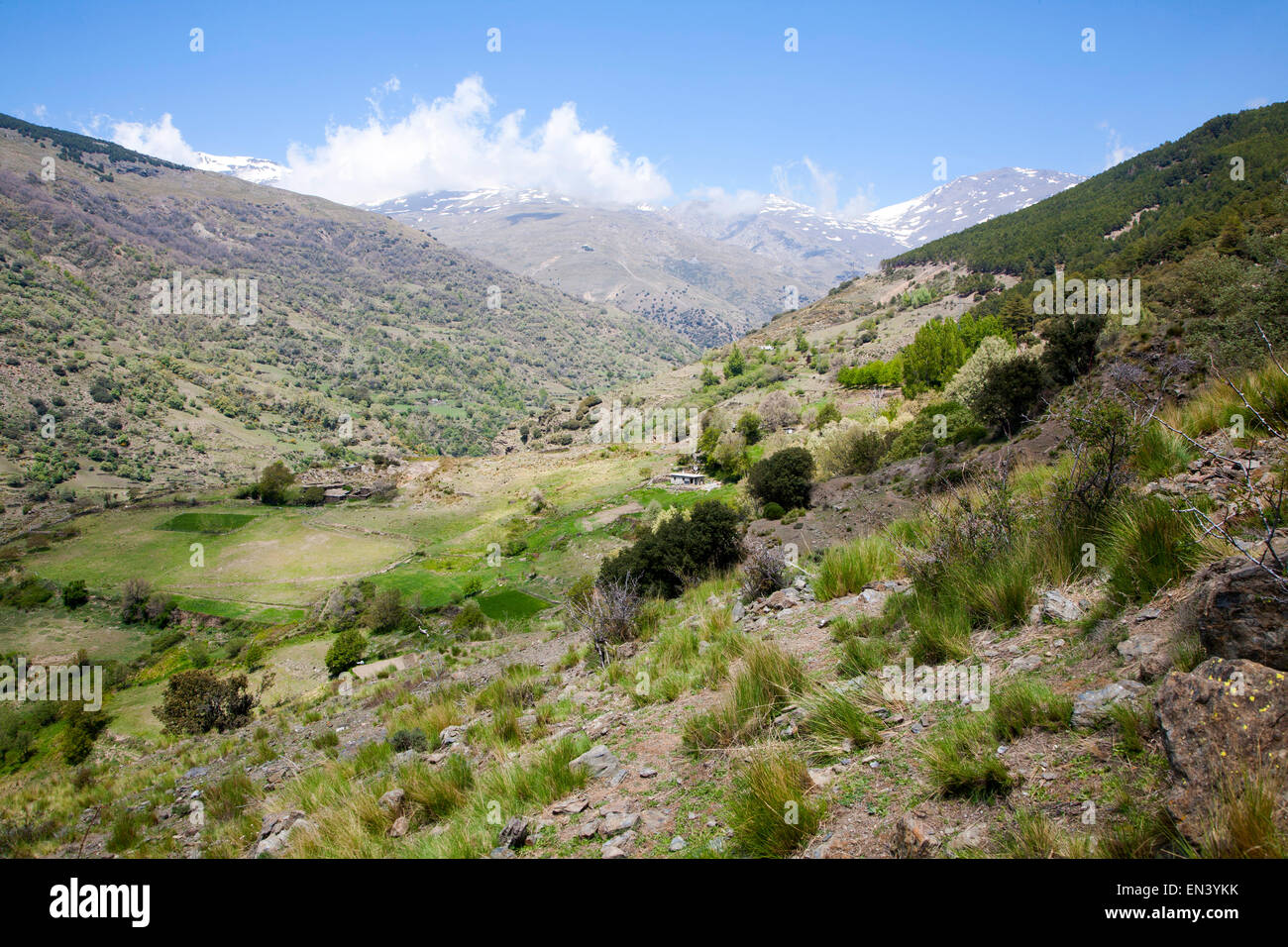 Landscape of the River Rio Poqueira gorge valley, High Alpujarras ...
