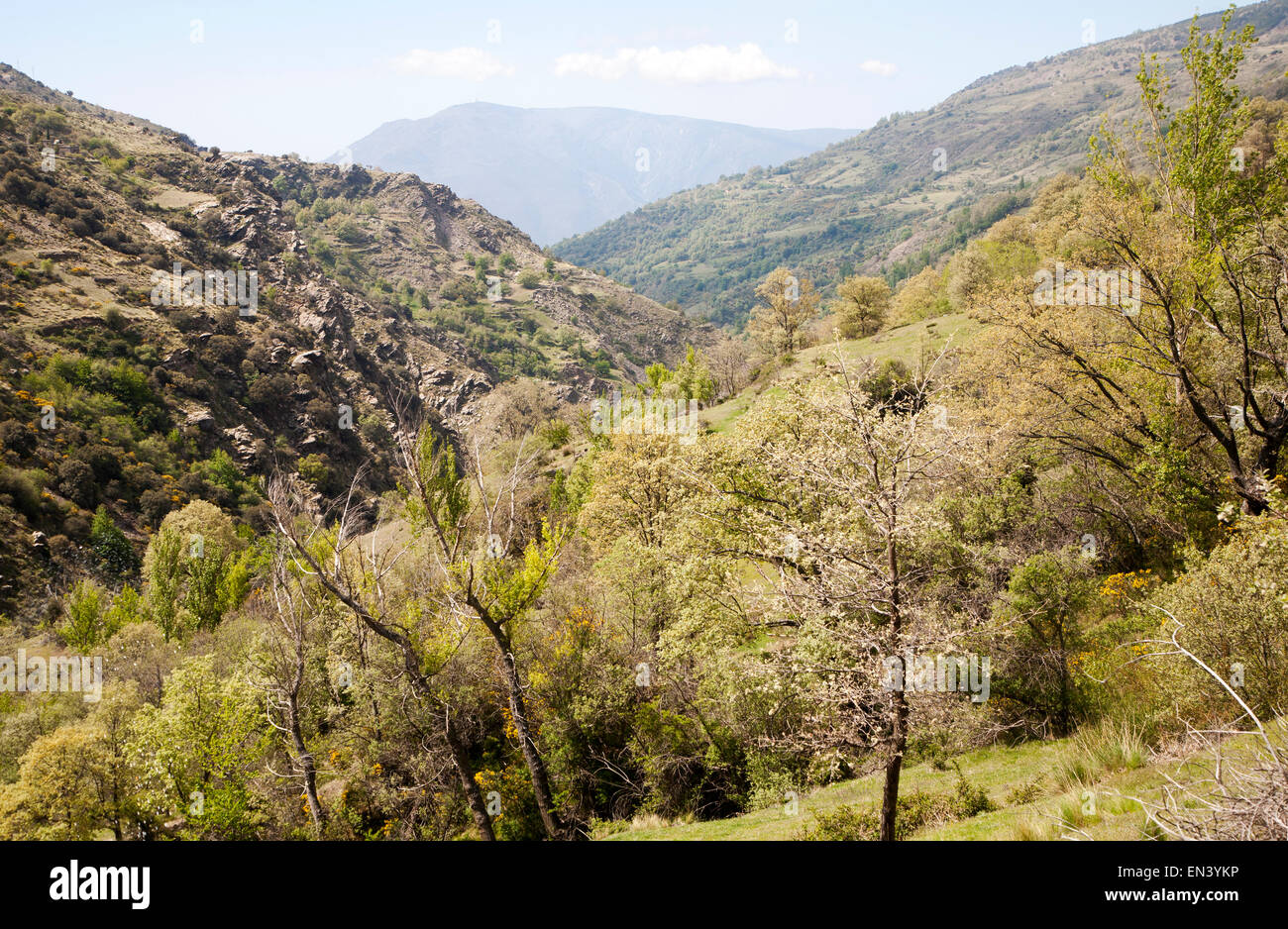 Landscape of the River Rio Poqueira gorge valley, High Alpujarras ...