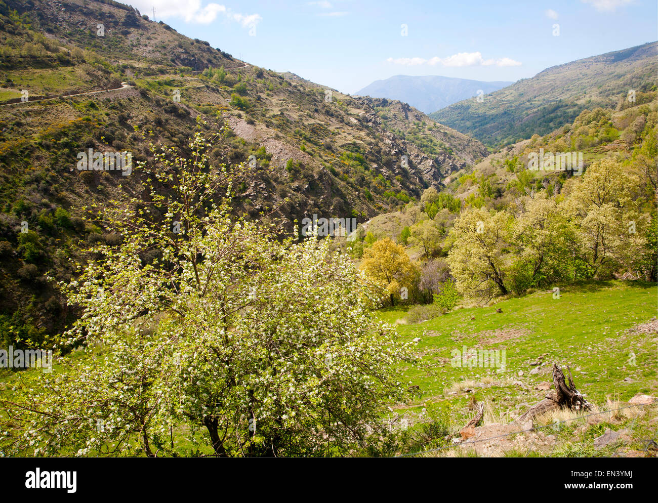 Landscape of the River Rio Poqueira gorge valley, High Alpujarras ...