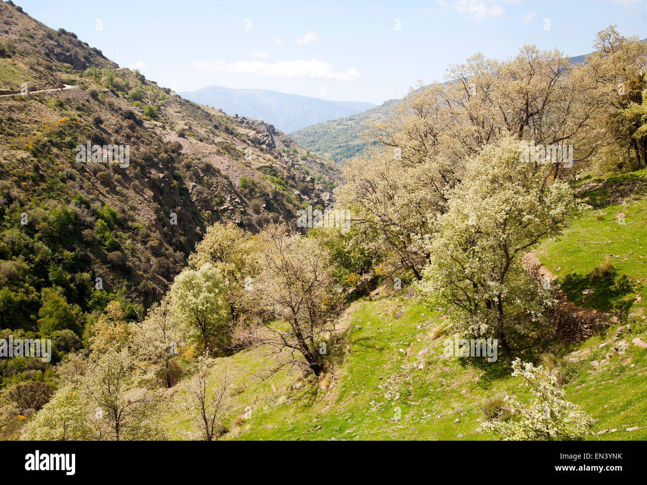 Landscape of the River Rio Poqueira gorge valley, High Alpujarras ...