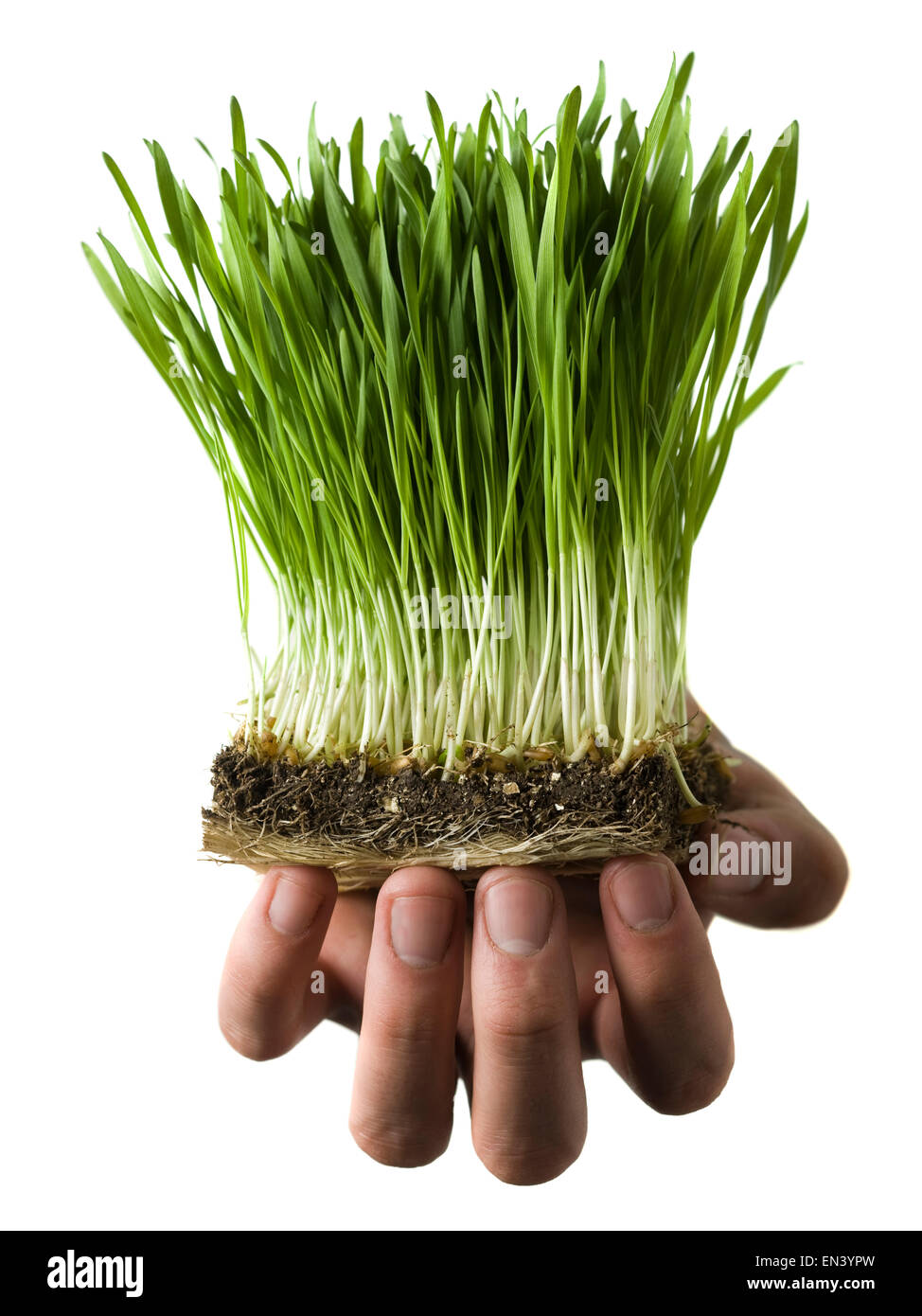 By a hand Cut Out Stock Images & Pictures - Alamy