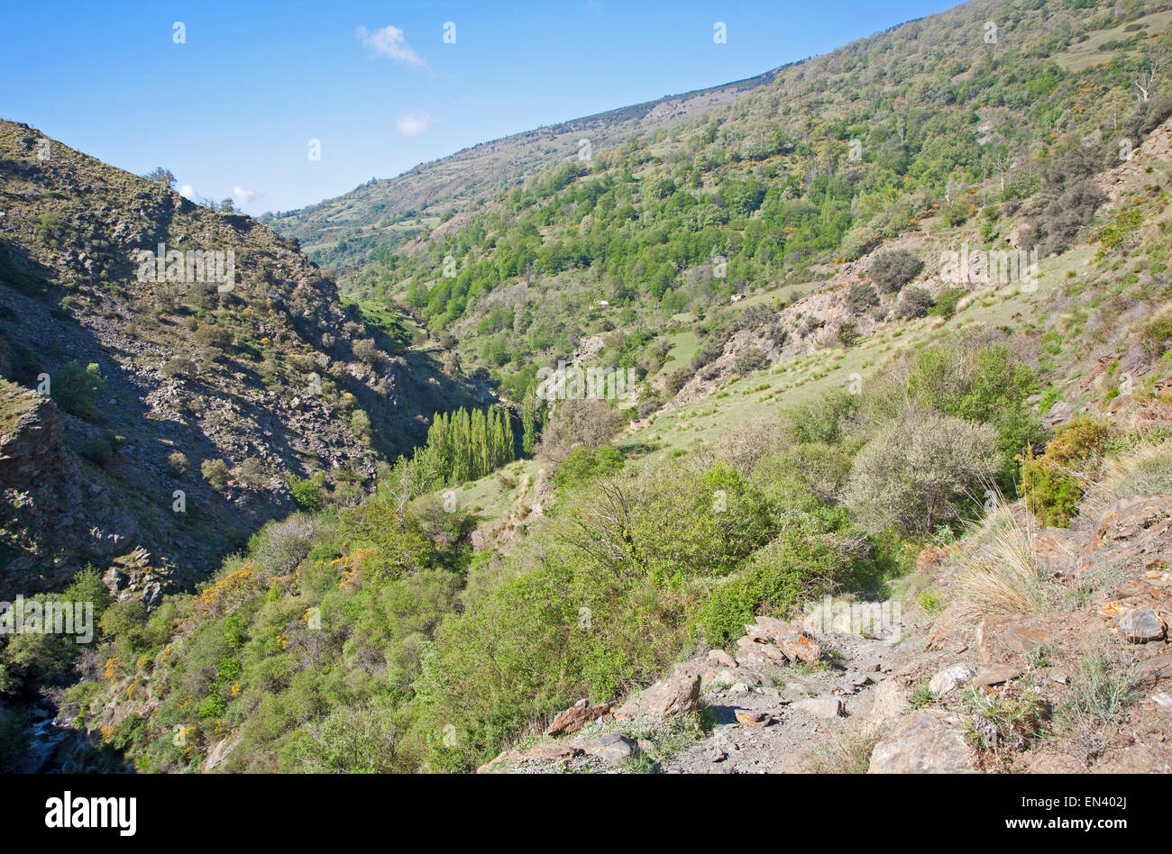 Landscape of the River Rio Poqueira gorge valley, High Alpujarras ...
