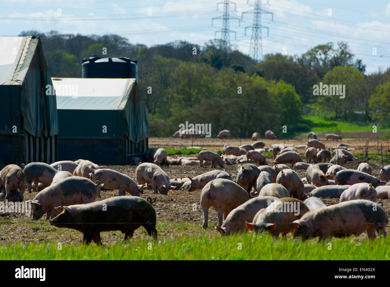 Undetefied hi-res stock photography and images - Alamy