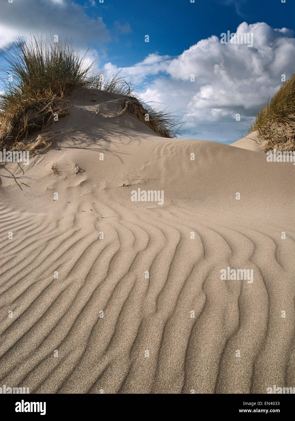 Ripples in the sand dunes in Ynyslas, Wales UK Stock Photo - Alamy