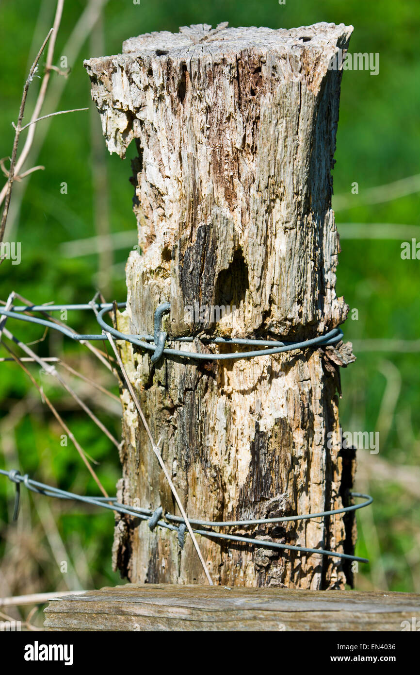 Old fence post hi-res stock photography and images - Alamy