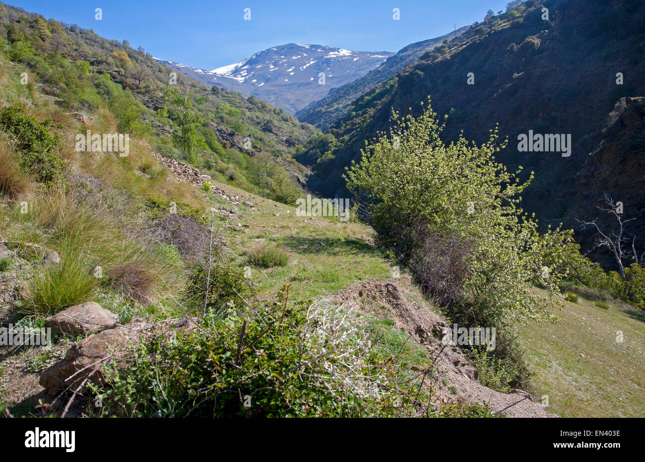 Landscape of the River Rio Poqueira gorge valley, High Alpujarras ...