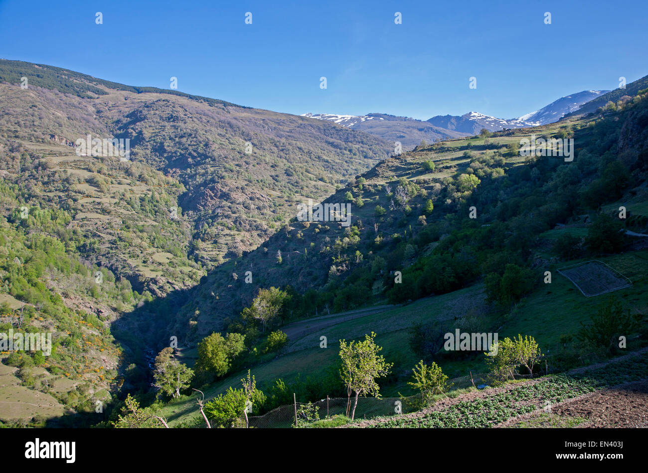 Landscape of the River Rio Poqueira gorge valley, High Alpujarras ...