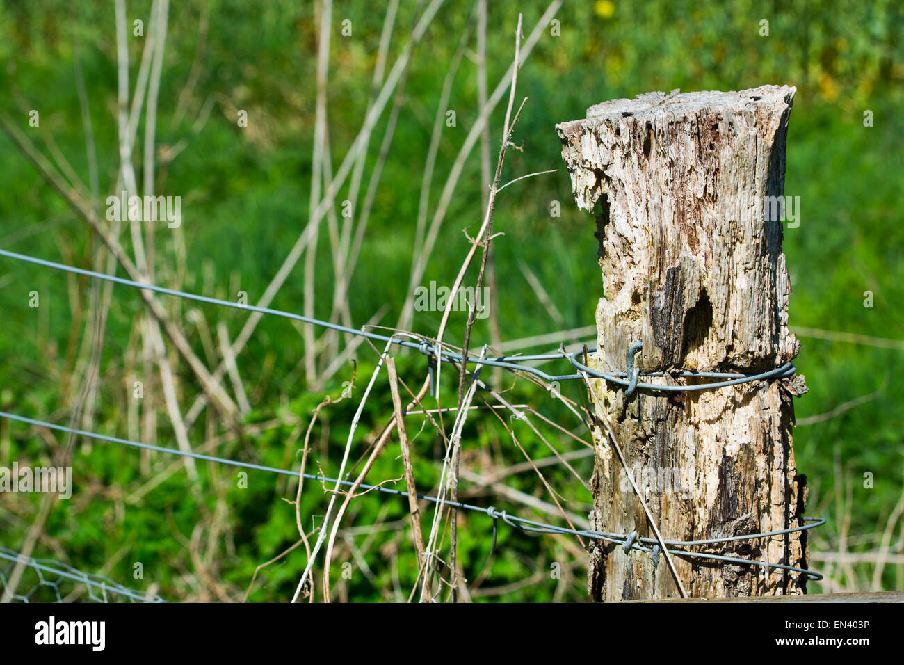 Old fence post hi-res stock photography and images - Alamy