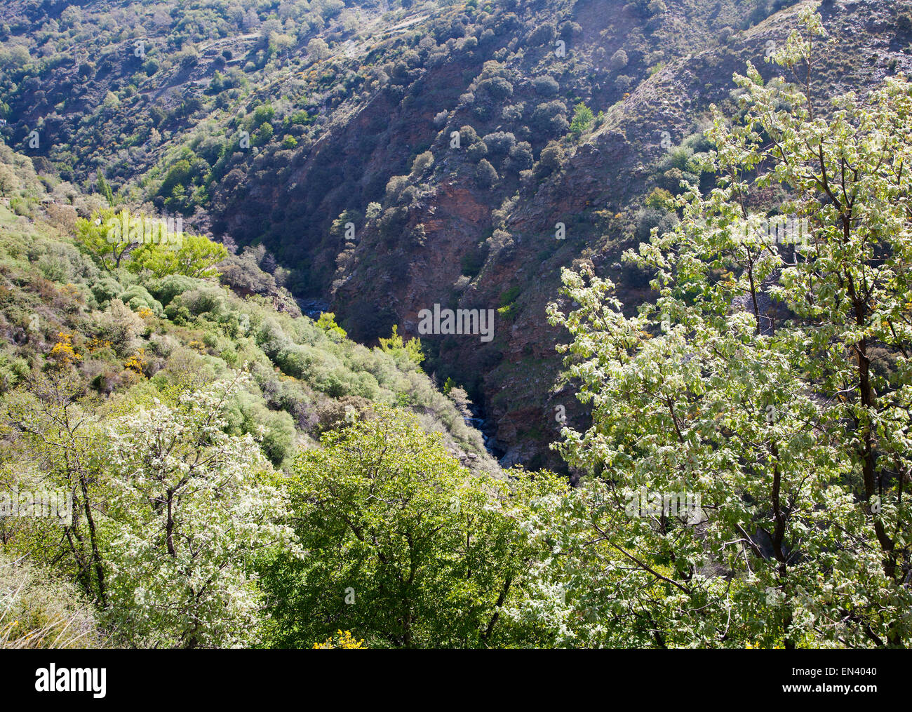 Landscape of the River Rio Poqueira gorge valley, High Alpujarras ...