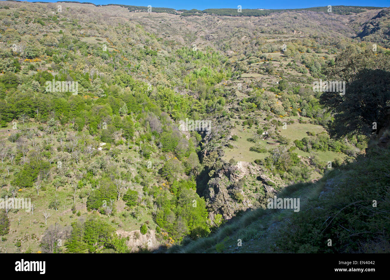 Landscape of the River Rio Poqueira gorge valley, High Alpujarras ...