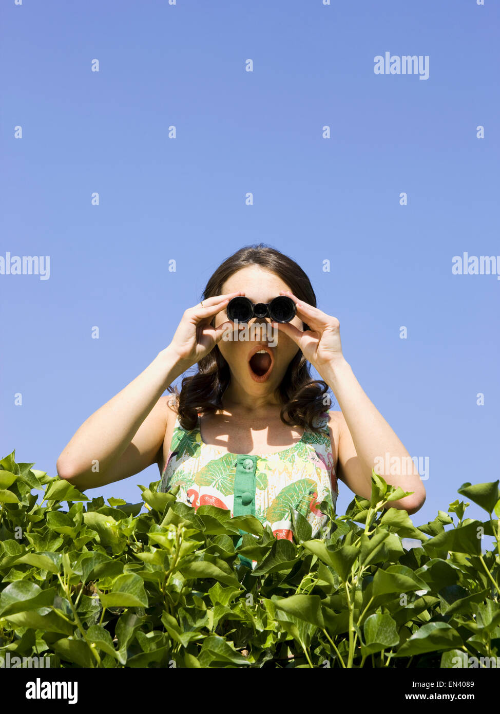 woman looking over a hedge with binoculars Stock Photo - Alamy