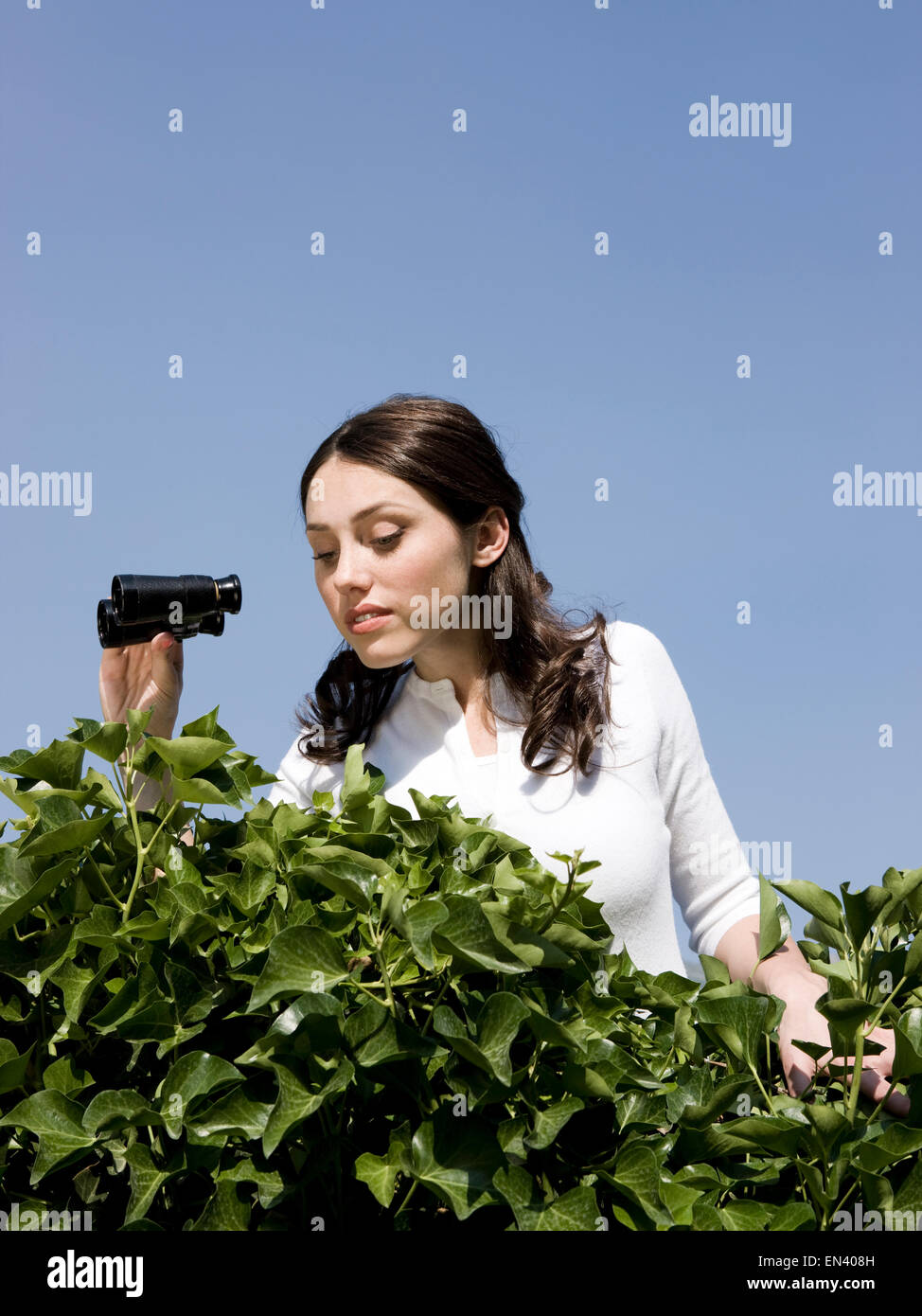 woman looking over a hedge with binoculars Stock Photo - Alamy