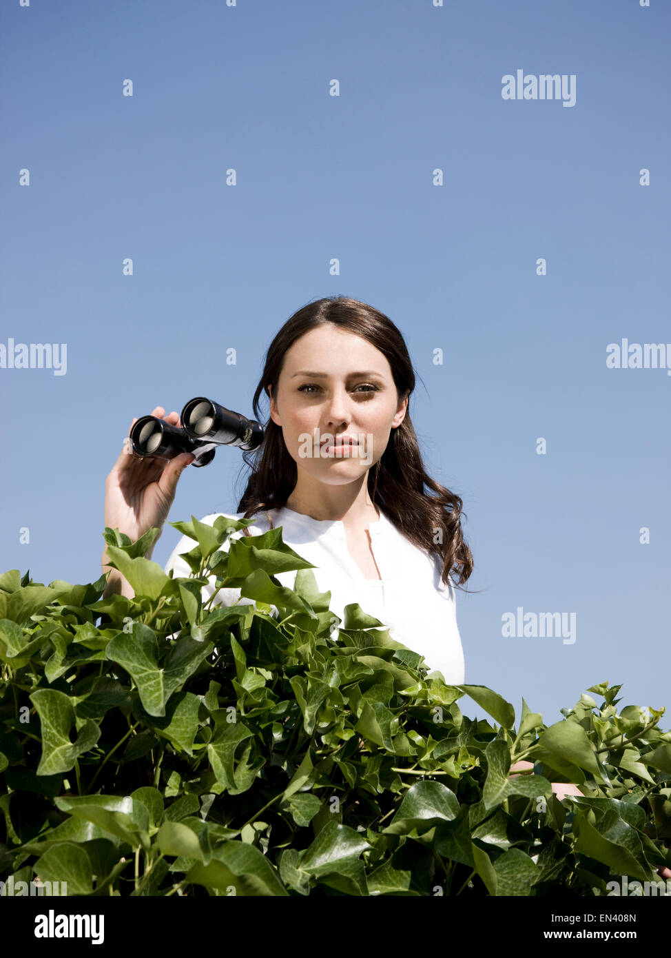 woman looking over a hedge with binoculars Stock Photo - Alamy