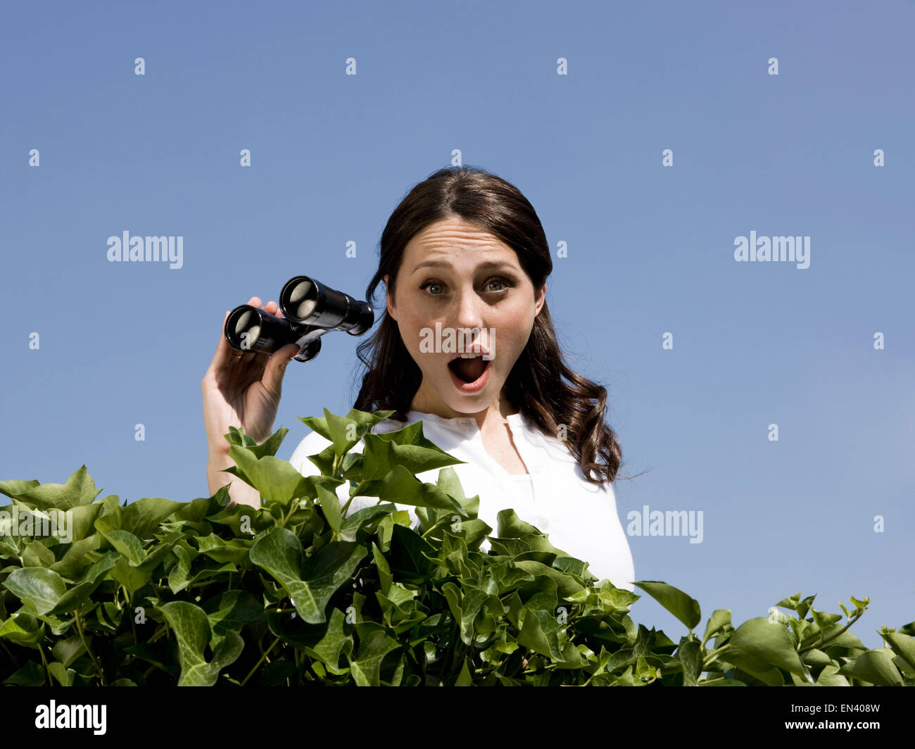woman looking over a hedge with binoculars Stock Photo - Alamy