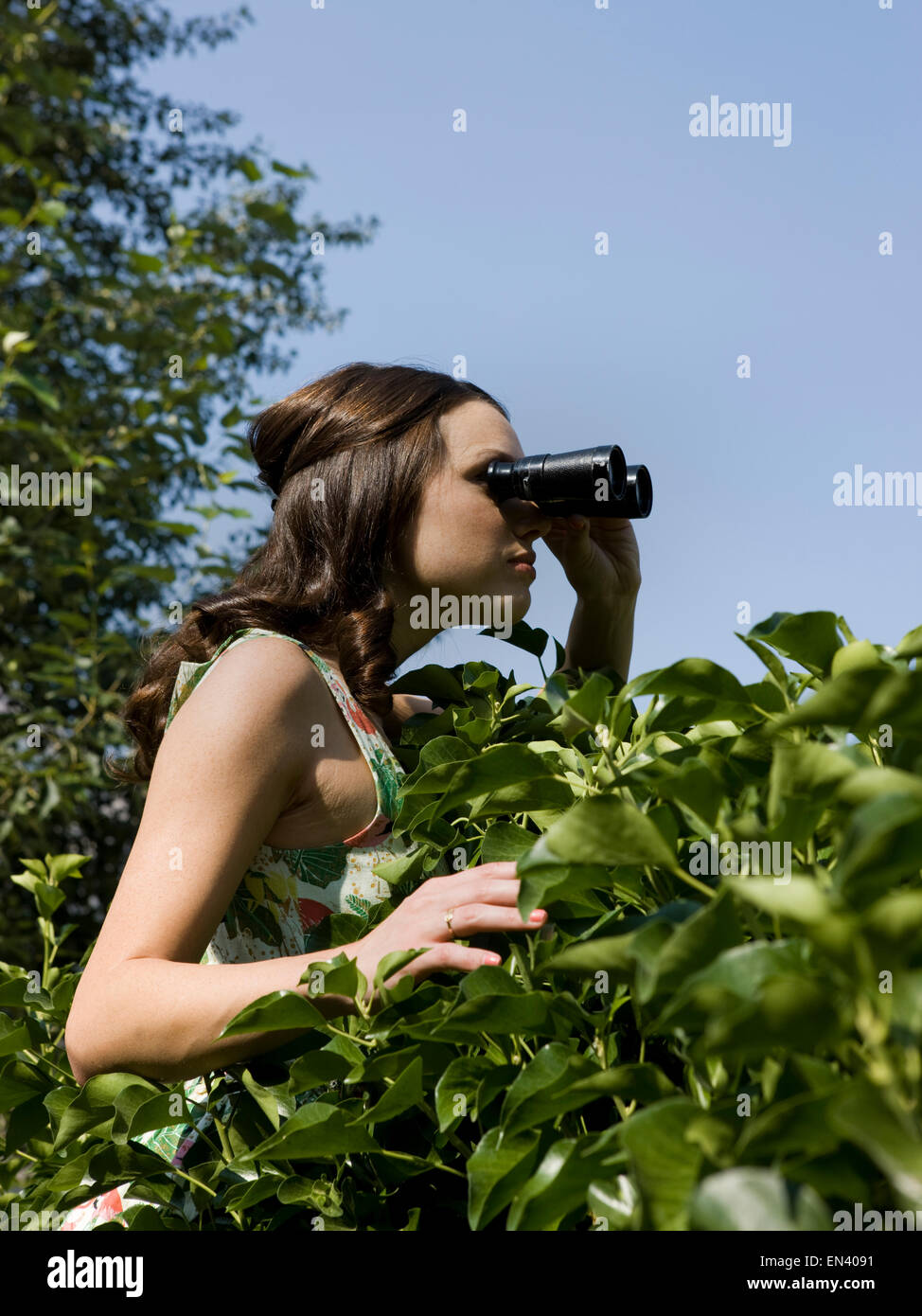 woman looking over a hedge with binoculars Stock Photo - Alamy