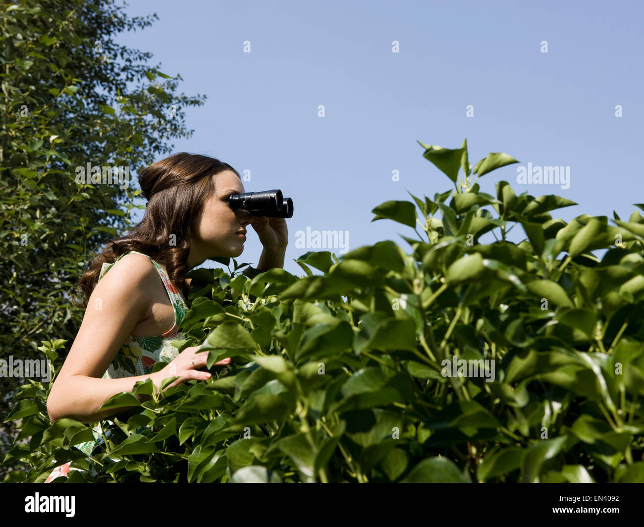 Woman looking over hedge binoculars hi-res stock photography and images ...