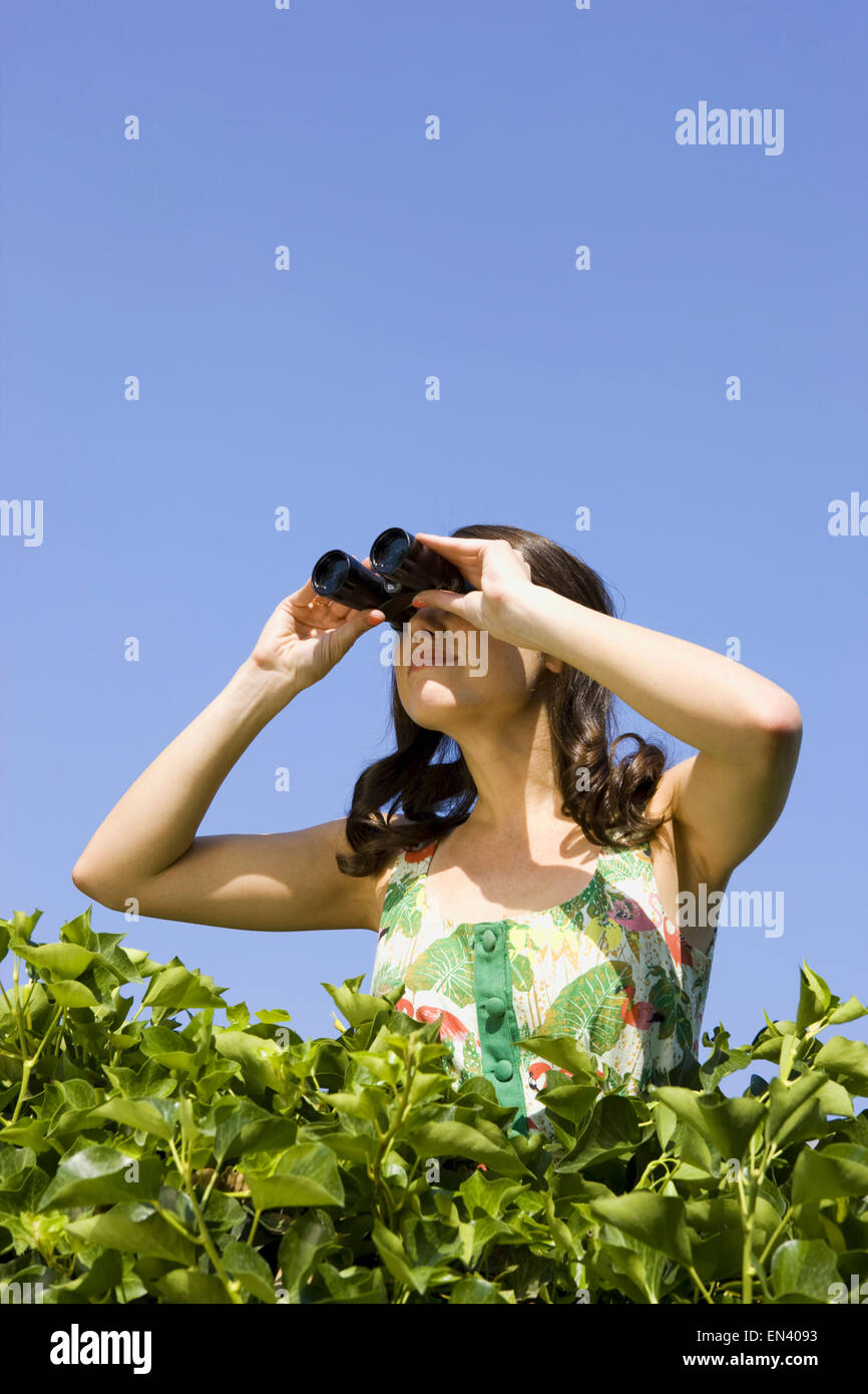 woman looking over a hedge with binoculars Stock Photo - Alamy