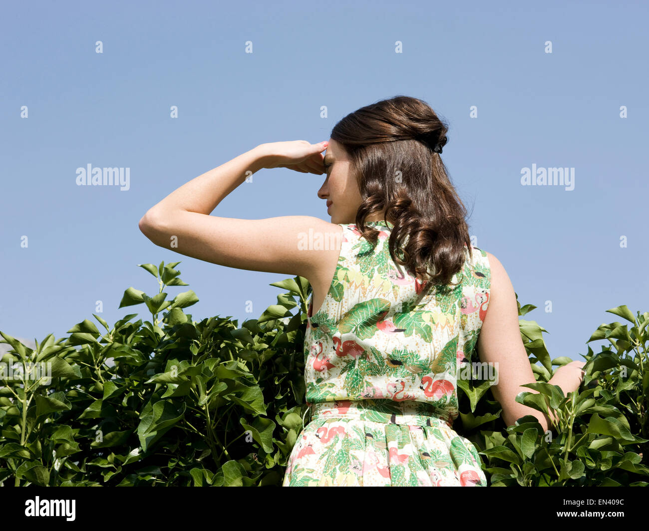 Over the hedge hi-res stock photography and images - Alamy