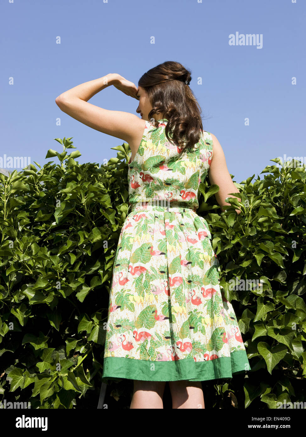 Over the hedge hi-res stock photography and images - Alamy