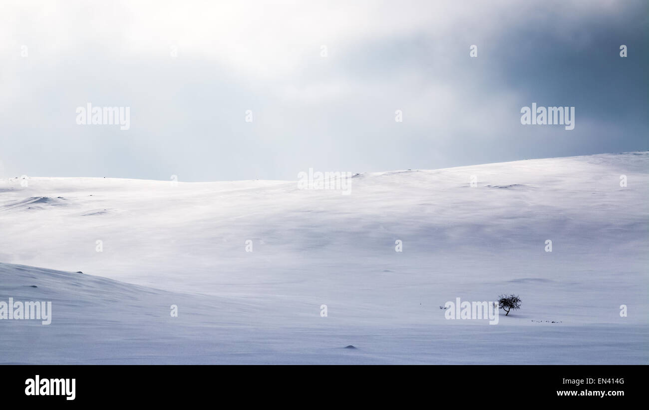 Northern winds hi-res stock photography and images - Alamy