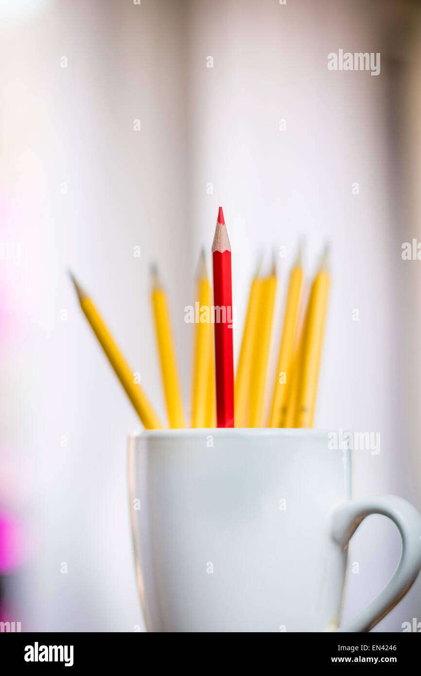 Sole red color pencil separated from a group of yellow pencils and ...