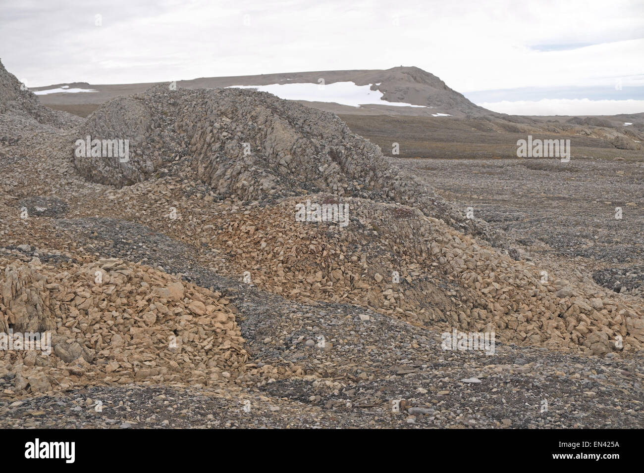 Shattered marble landscape above Kinnvika, Murchinsonfjorden ...