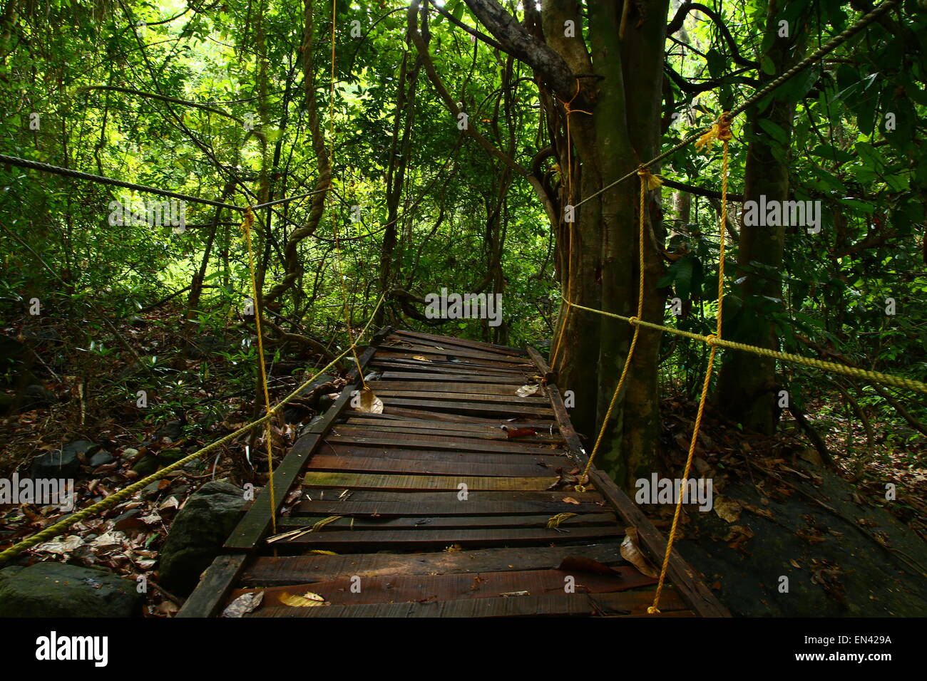 Bridge rope hi-res stock photography and images - Alamy