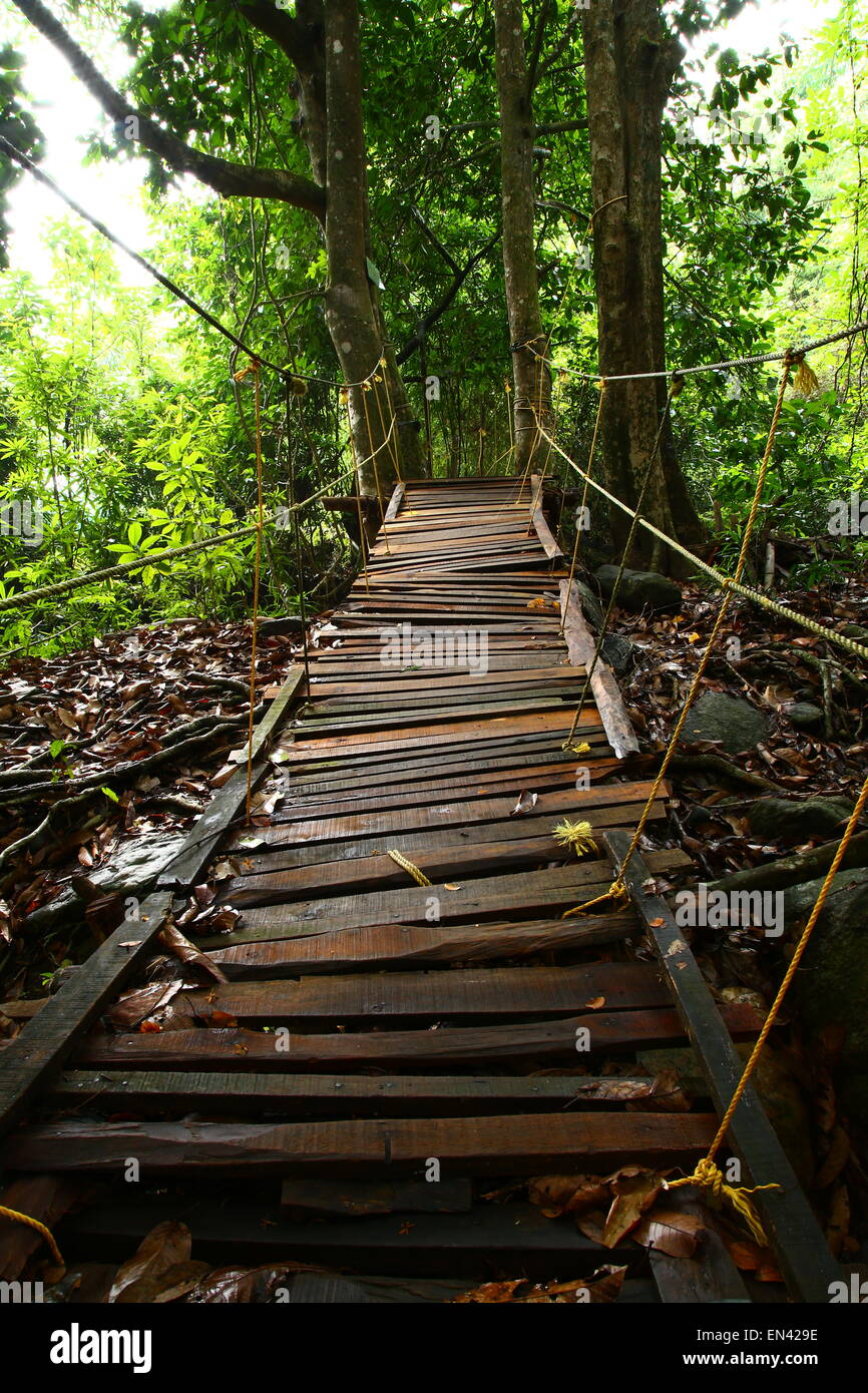 Pedestrian wood bridge hi-res stock photography and images - Alamy