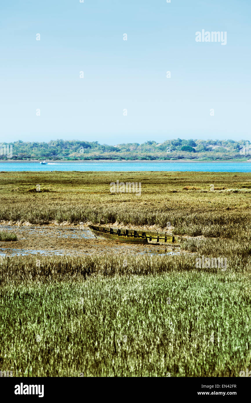 Landscape with a boat skeleton in the marshes Stock Photo - Alamy
