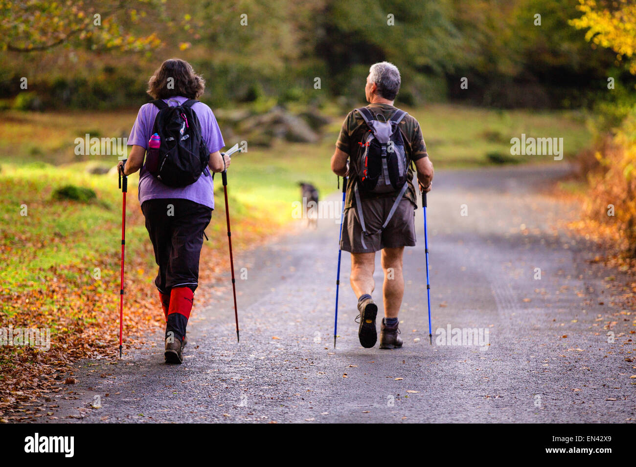 male and female ramblers walking Burrator reservoir Stock Photo - Alamy