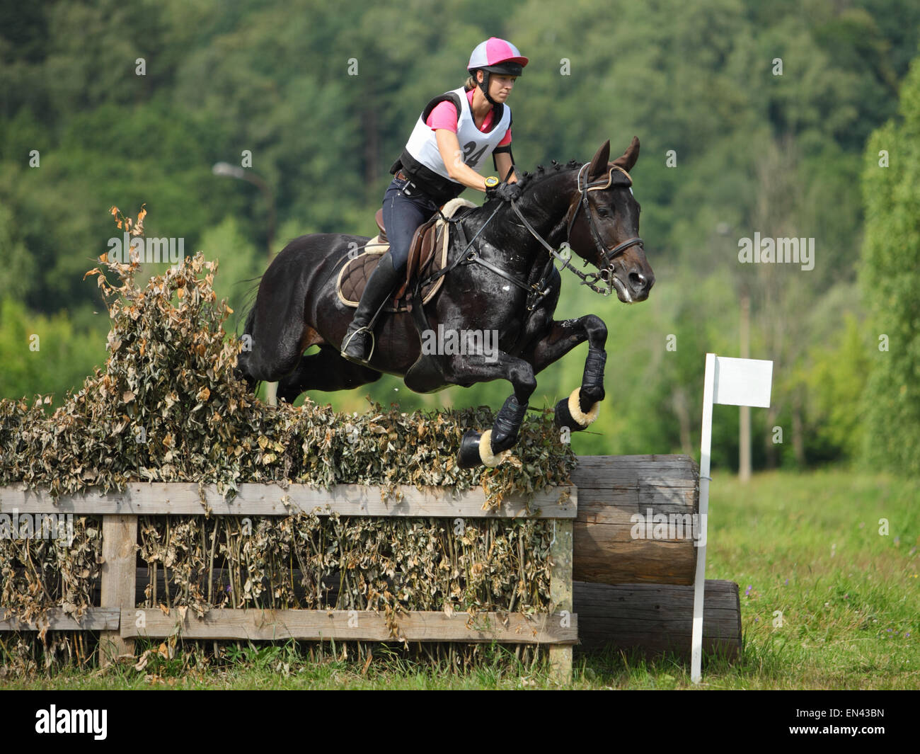 This horse and rider are navigating a log jump obstacle on a 3-day ...