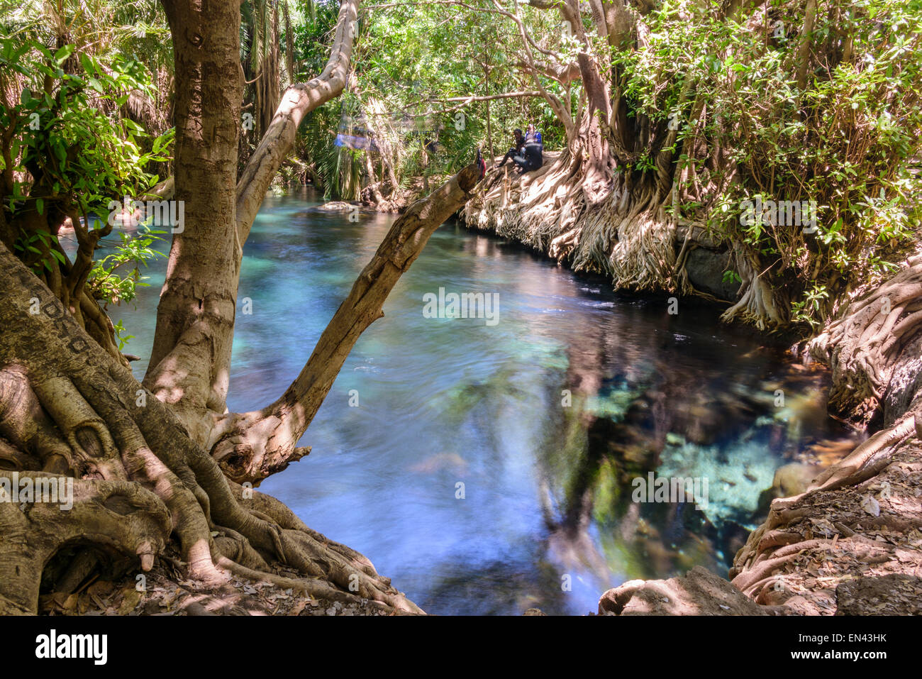 Kikuletwa hot spring in Chemka town, Moshi city, Tanzania, Africa Stock ...