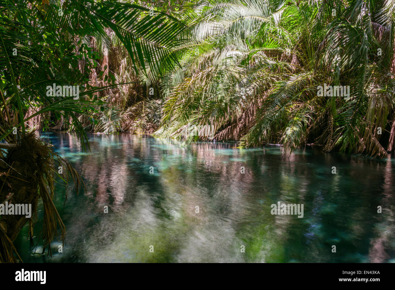 Kikuletwa hot spring in Chemka town, Moshi city, Tanzania, Africa Stock ...