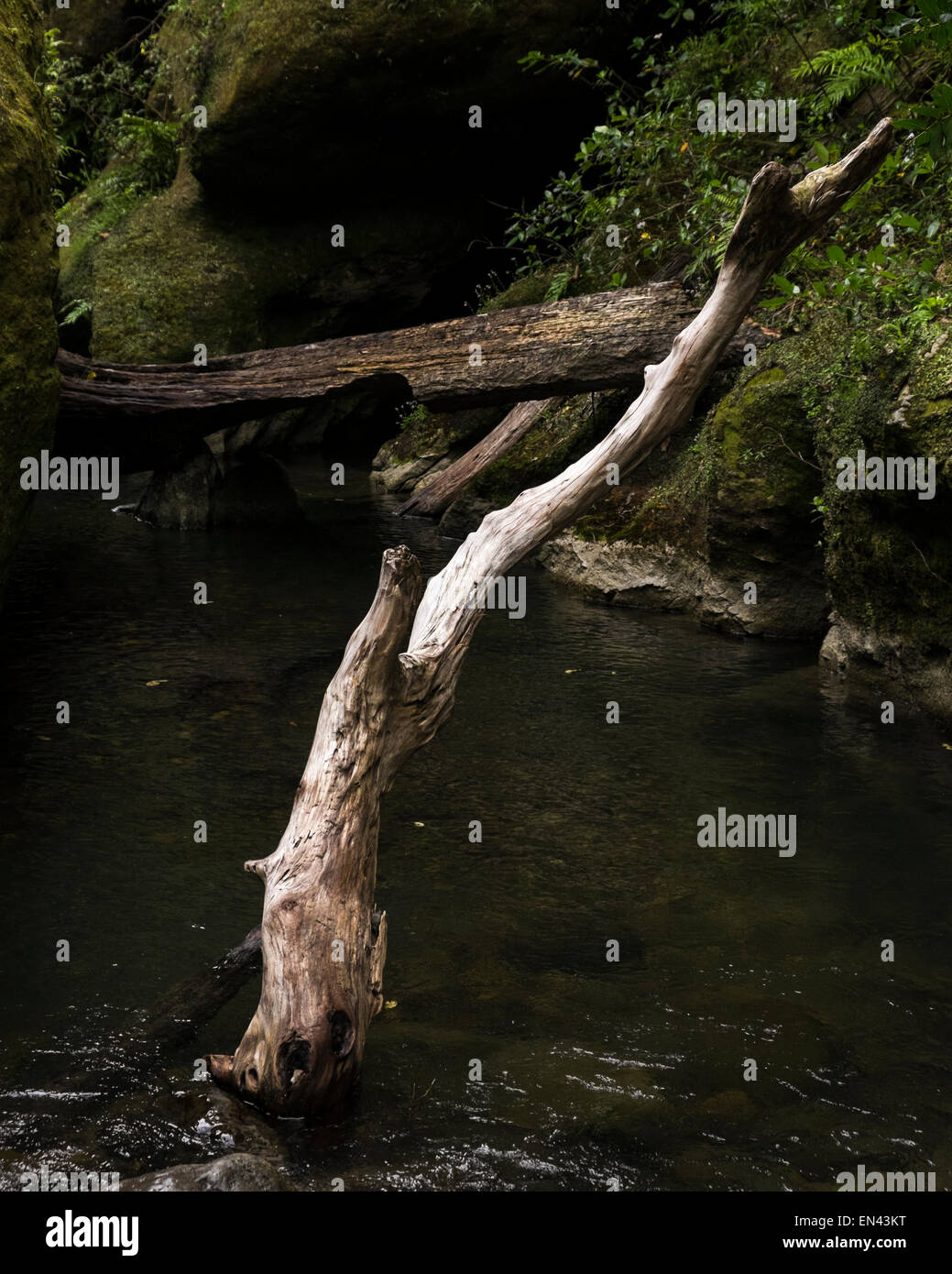 Patuna farm hi-res stock photography and images - Alamy