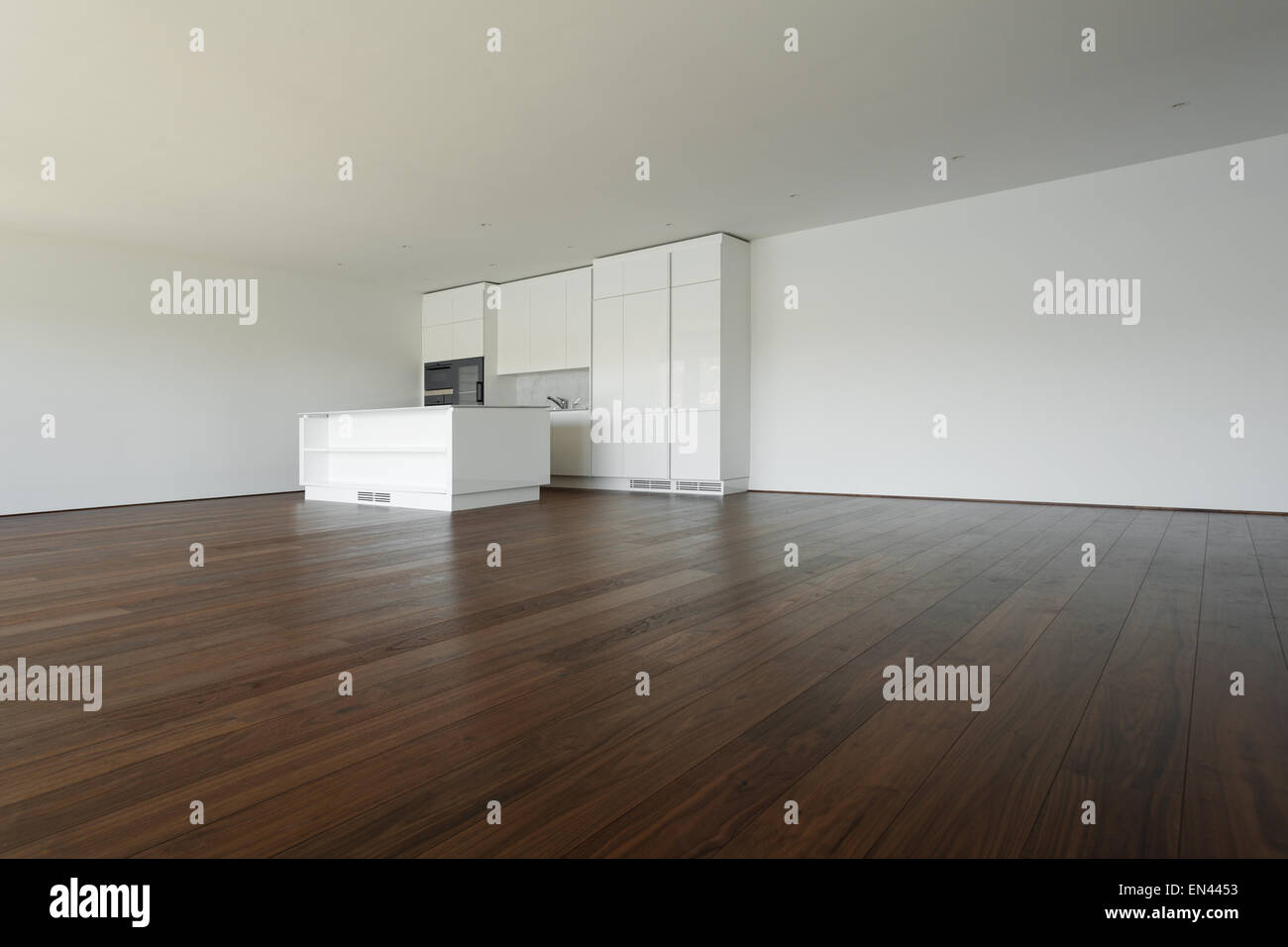 beautiful empty apartment, hardwood floor, modern kitchen Stock Photo ...