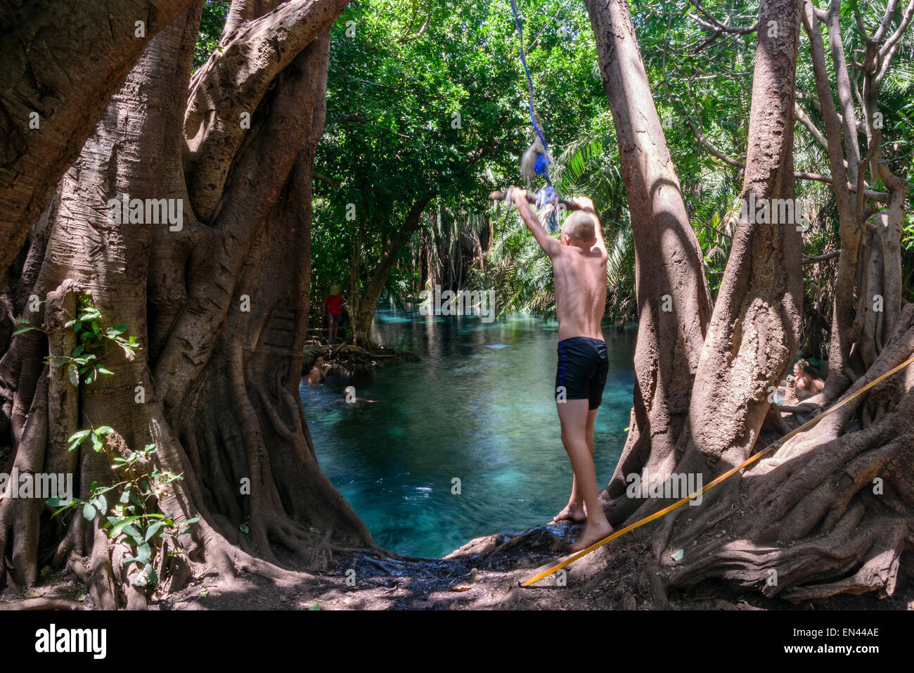 Kikuletwa hot spring in Chemka town, Moshi city, Tanzania, Africa Stock ...