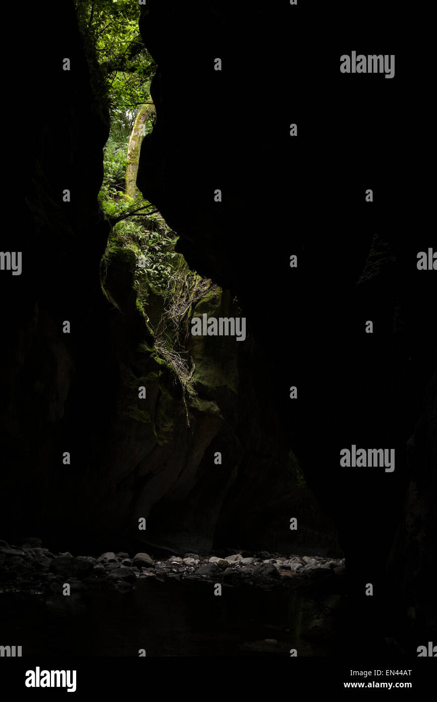 Walking in the Patuna gorge, a limestone chasm in Wairarapa, New ...