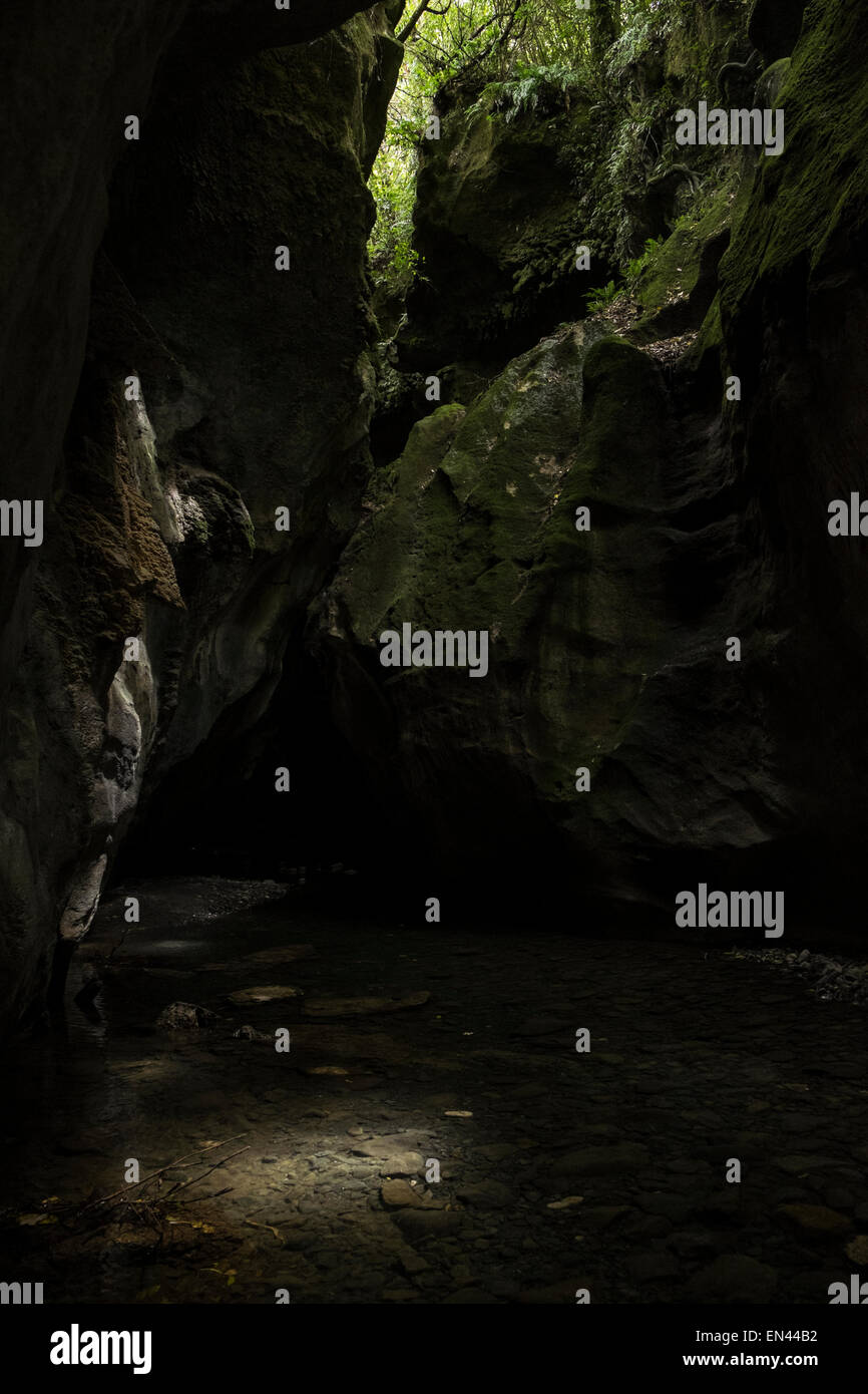 Walking in the Patuna gorge, a limestone chasm in Wairarapa, New ...
