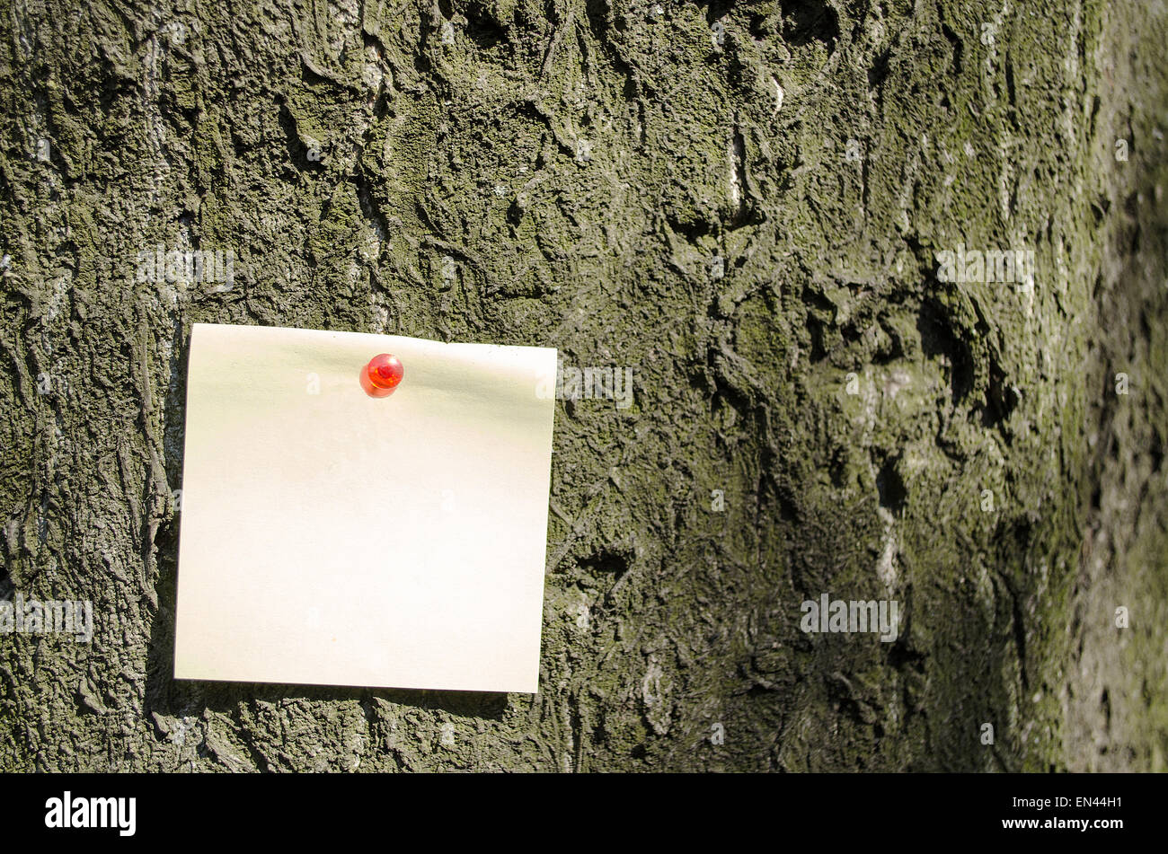 Sticky Note With Red Pin On Tree Background Stock Photo - Alamy