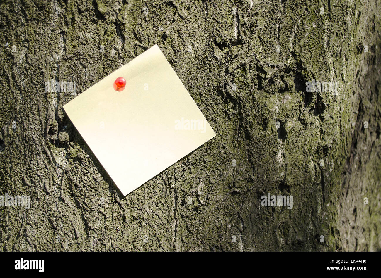 Sticky Note With Red Pin On Tree Background Stock Photo - Alamy