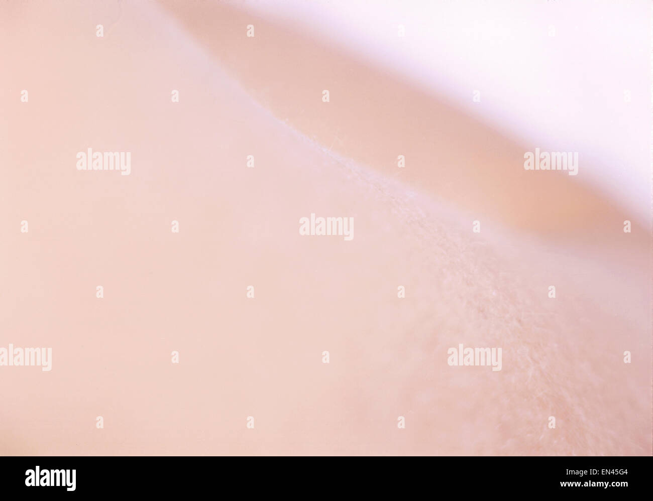 female back body Stock Photo - Alamy