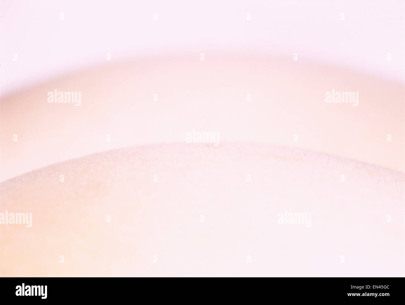 female buttocks bottocks Stock Photo - Alamy