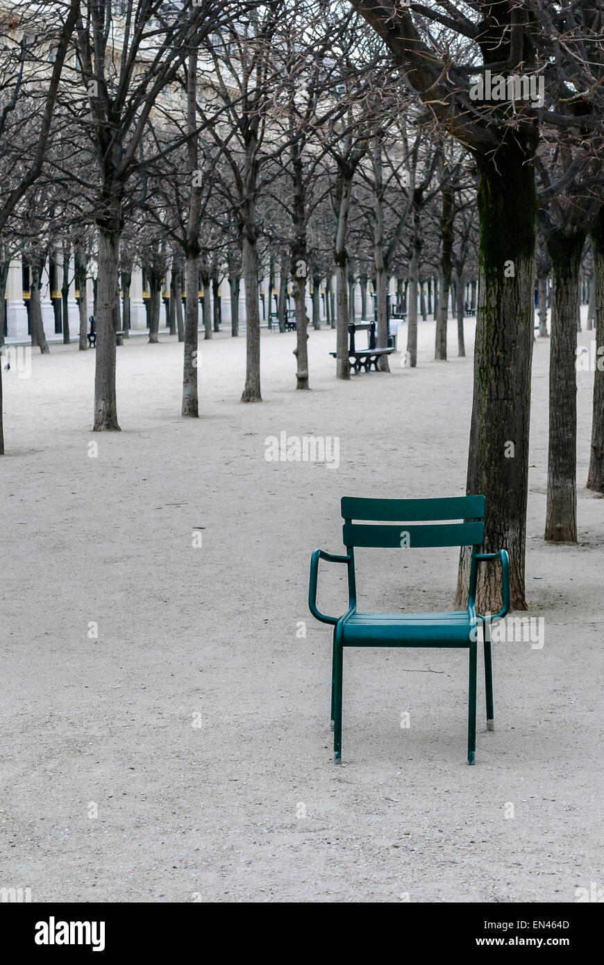 Lone chair in the gardens of the Palais Royal in Paris Stock Photo - Alamy