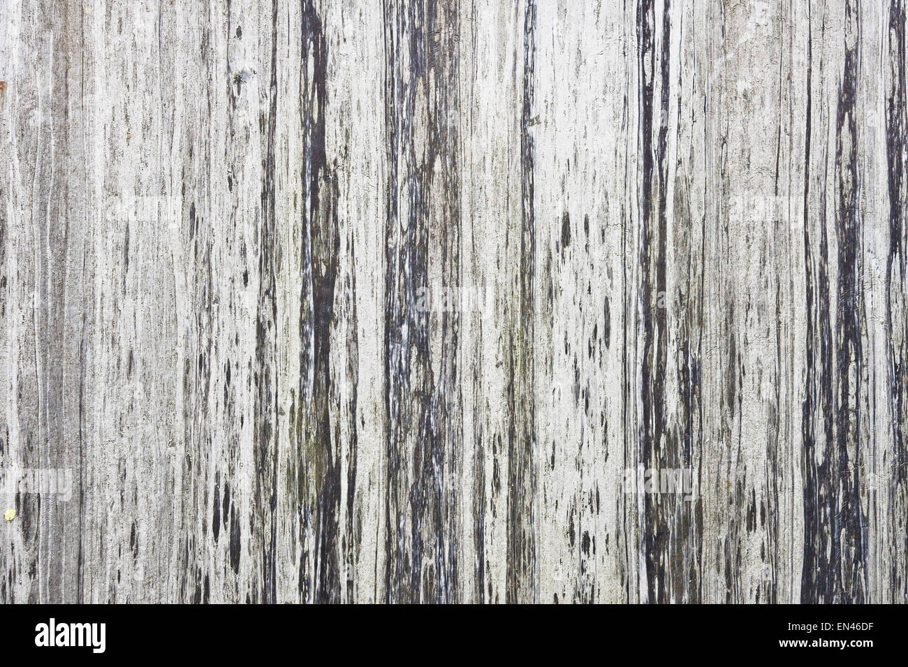 Detailed wood texture as a background image Stock Photo - Alamy