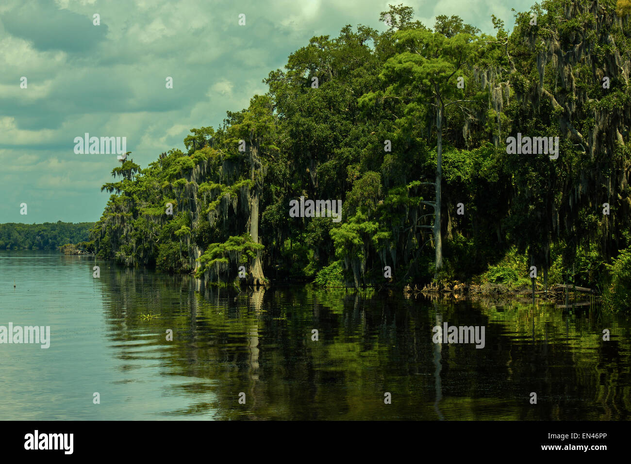 Wide river hi-res stock photography and images - Alamy