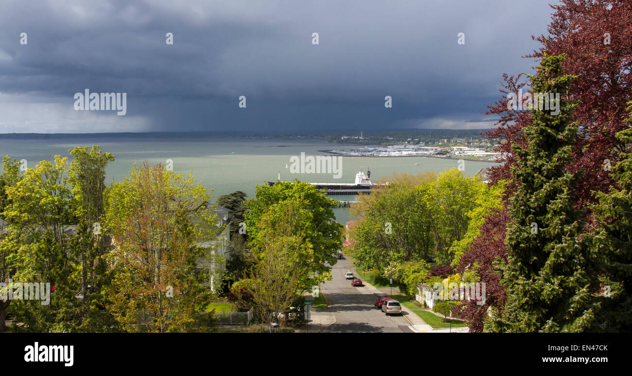 The view through a tree-lined neighborhood out to a storm blowing in ...