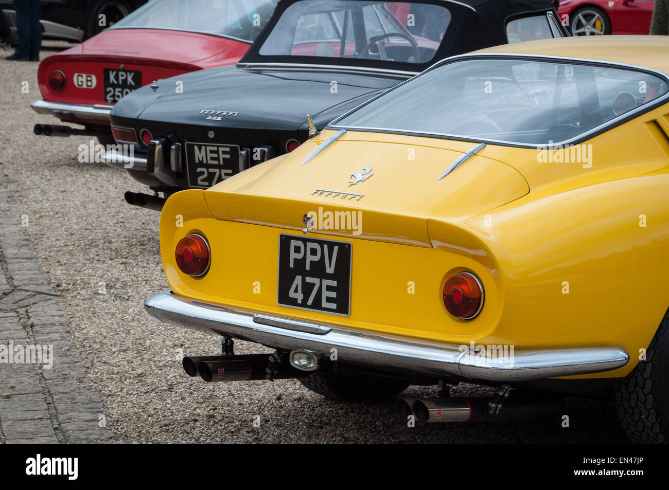 Ferrari 275 GTB in yellow and 275 GTS in black at the Ferrari Owners ...