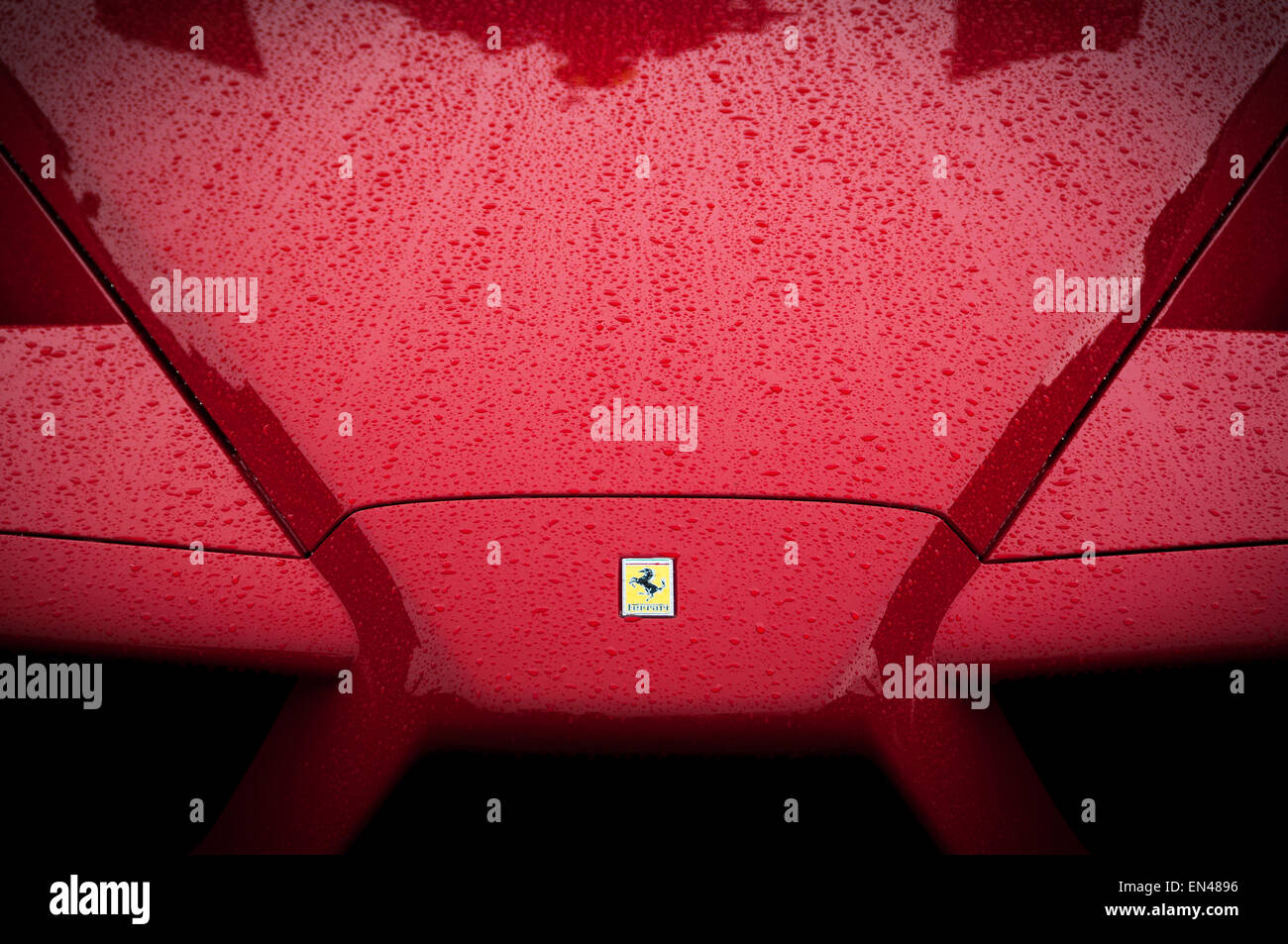Ferrari Enzo at the Ferrari Owners Club Rally at Blenheim Palace ...