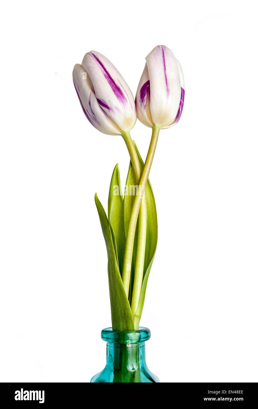 Two twos hi-res stock photography and images - Alamy
