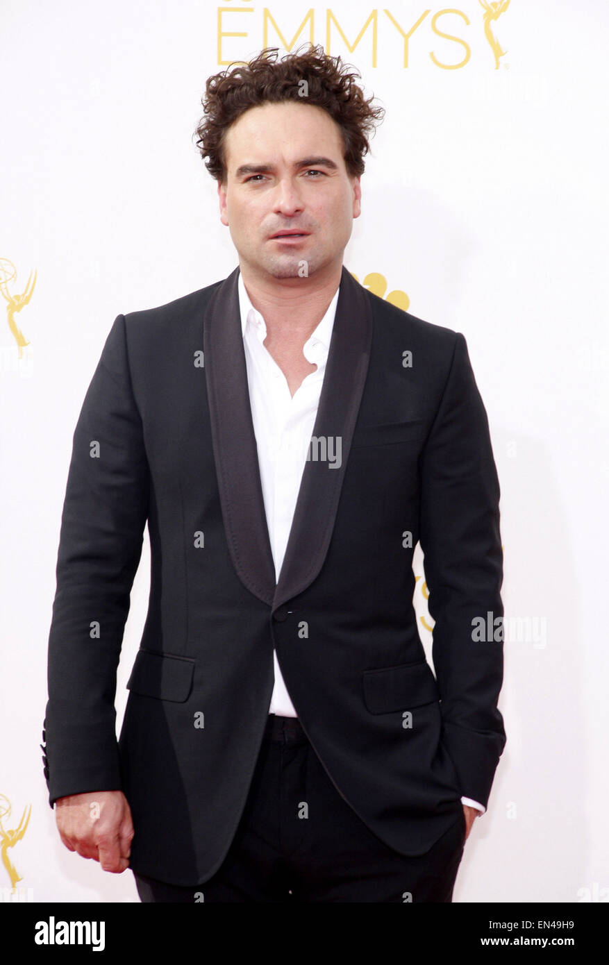 Johnny Galecki at the 66th Annual Primetime Emmy Awards held at the ...
